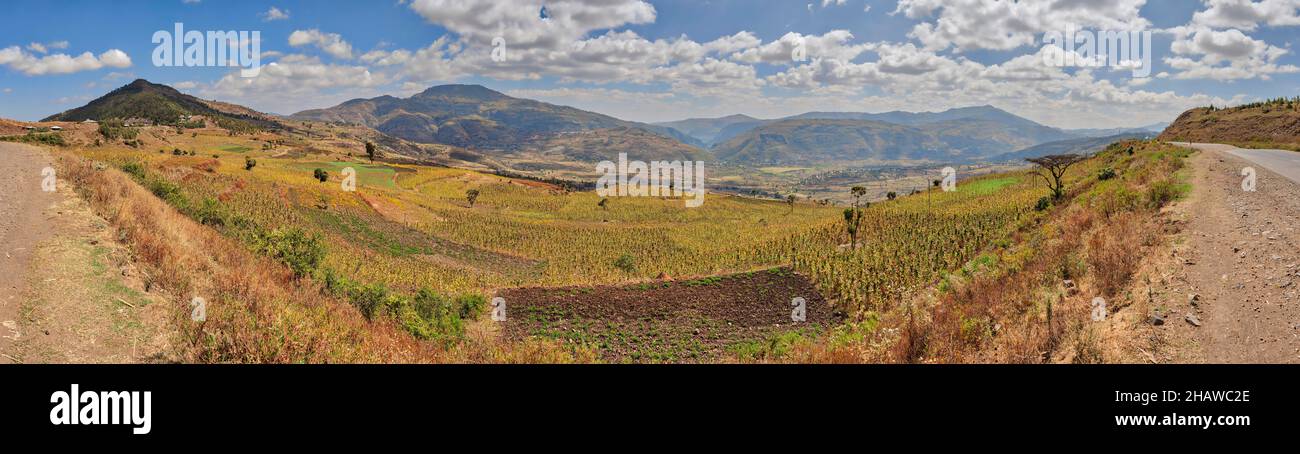 Landscape, fields, cultivation area, panorama, Oromia, Ethiopia Stock ...