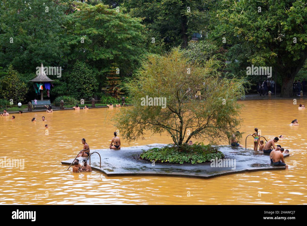 Botanical Garden, Thermal Water Pool at Terra Nostra Park, Furnas, Sao ...