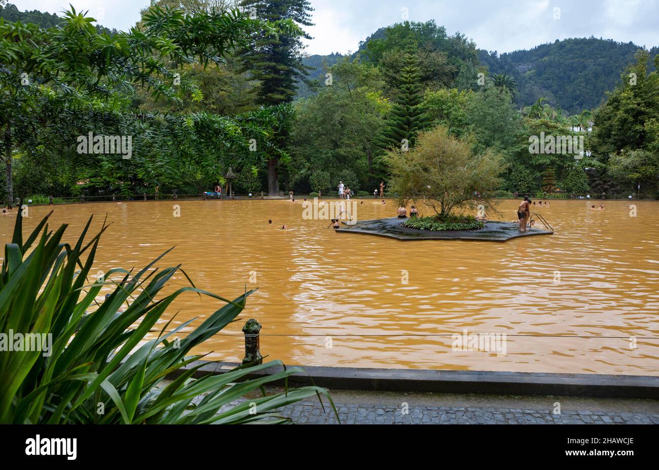Botanical Garden, Thermal Water Pool at Terra Nostra Park, Furnas, Sao ...