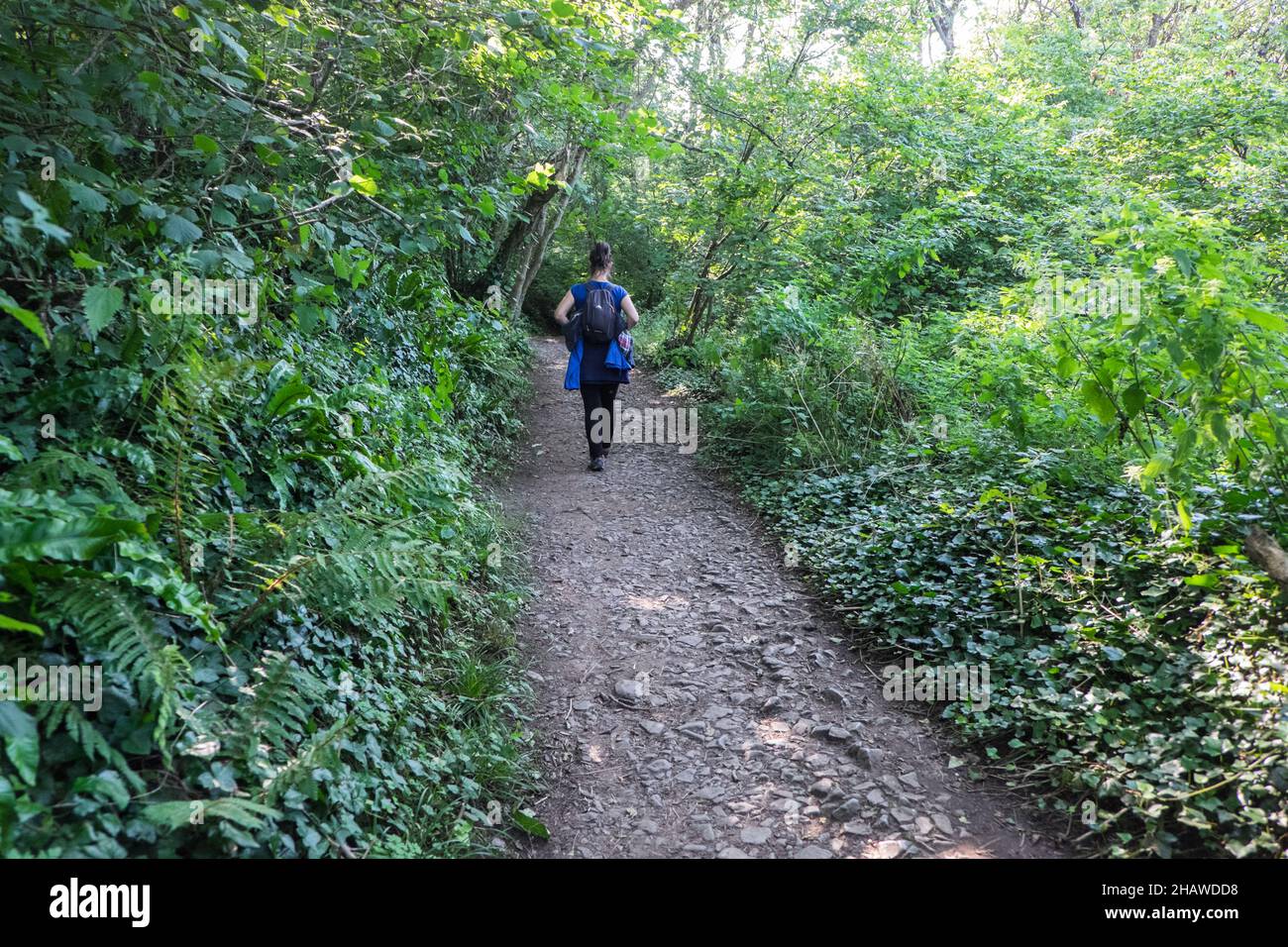 Hiker,hiking,walker,walking,on,footpath,path,Nash Point,rock,rock ...