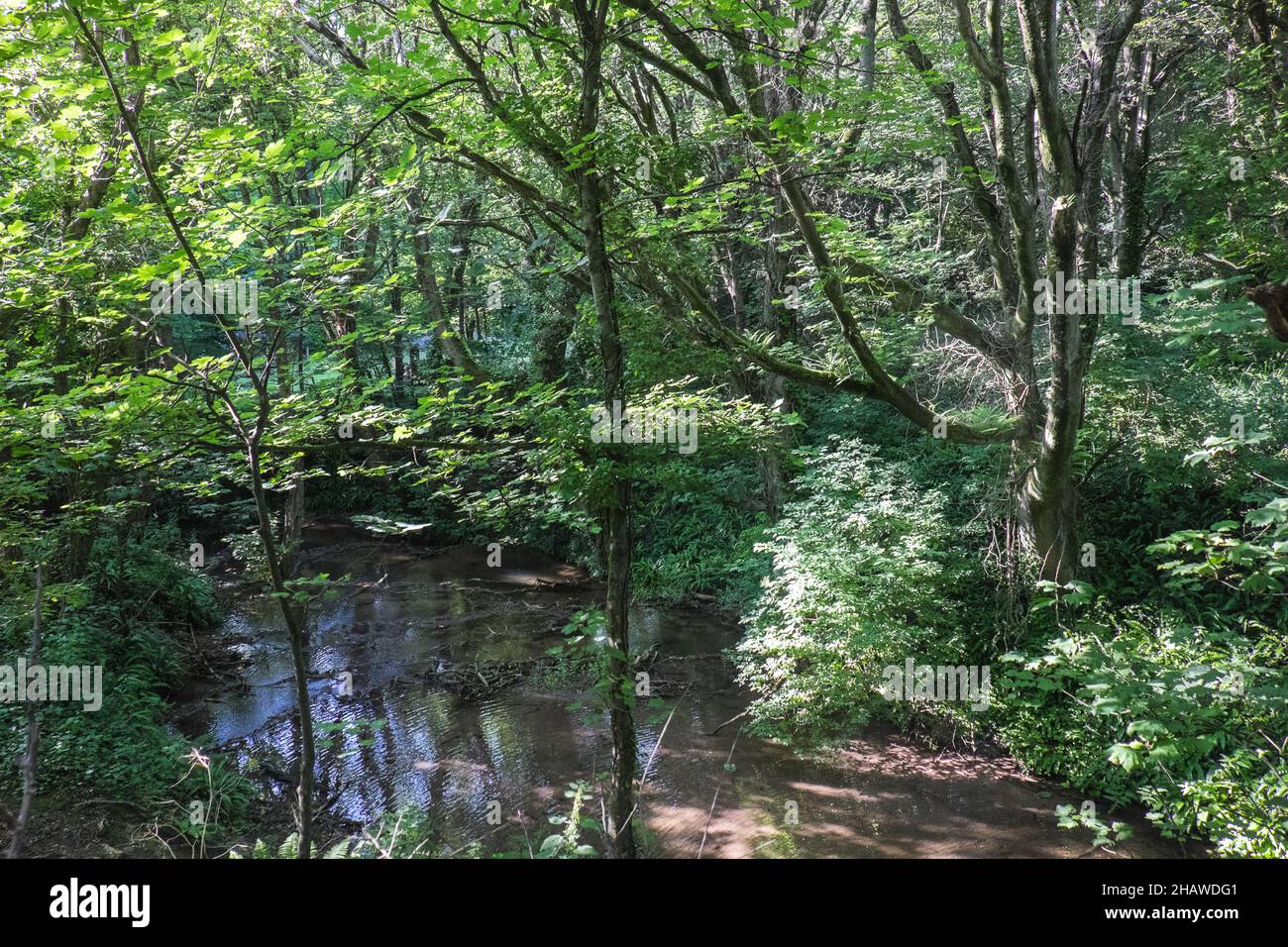 Hiker,hiking,walker,walking,on,footpath,path,Nash Point,rock,rock ...