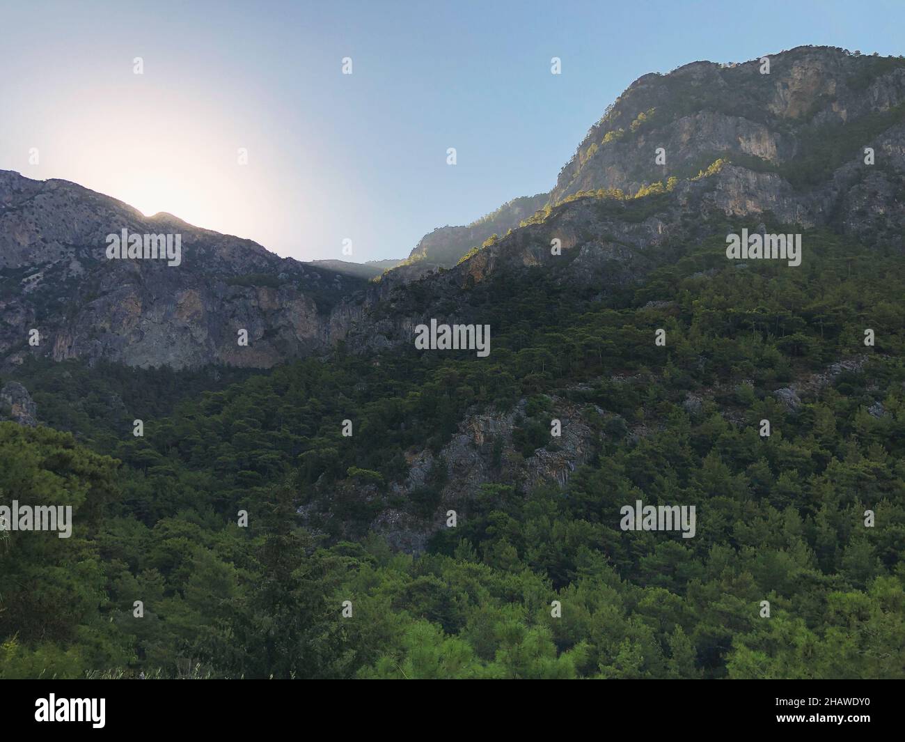 View of mountain in the forest in Kabak valley Mugla Turkey Stock Photo ...