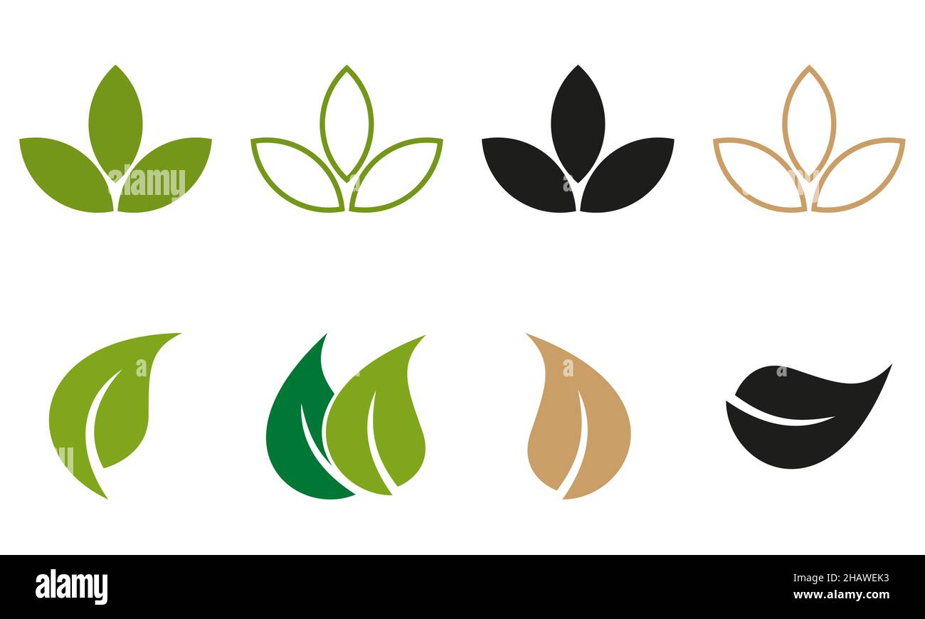 Leaves icon vector set isolated on white background. Various shapes of ...