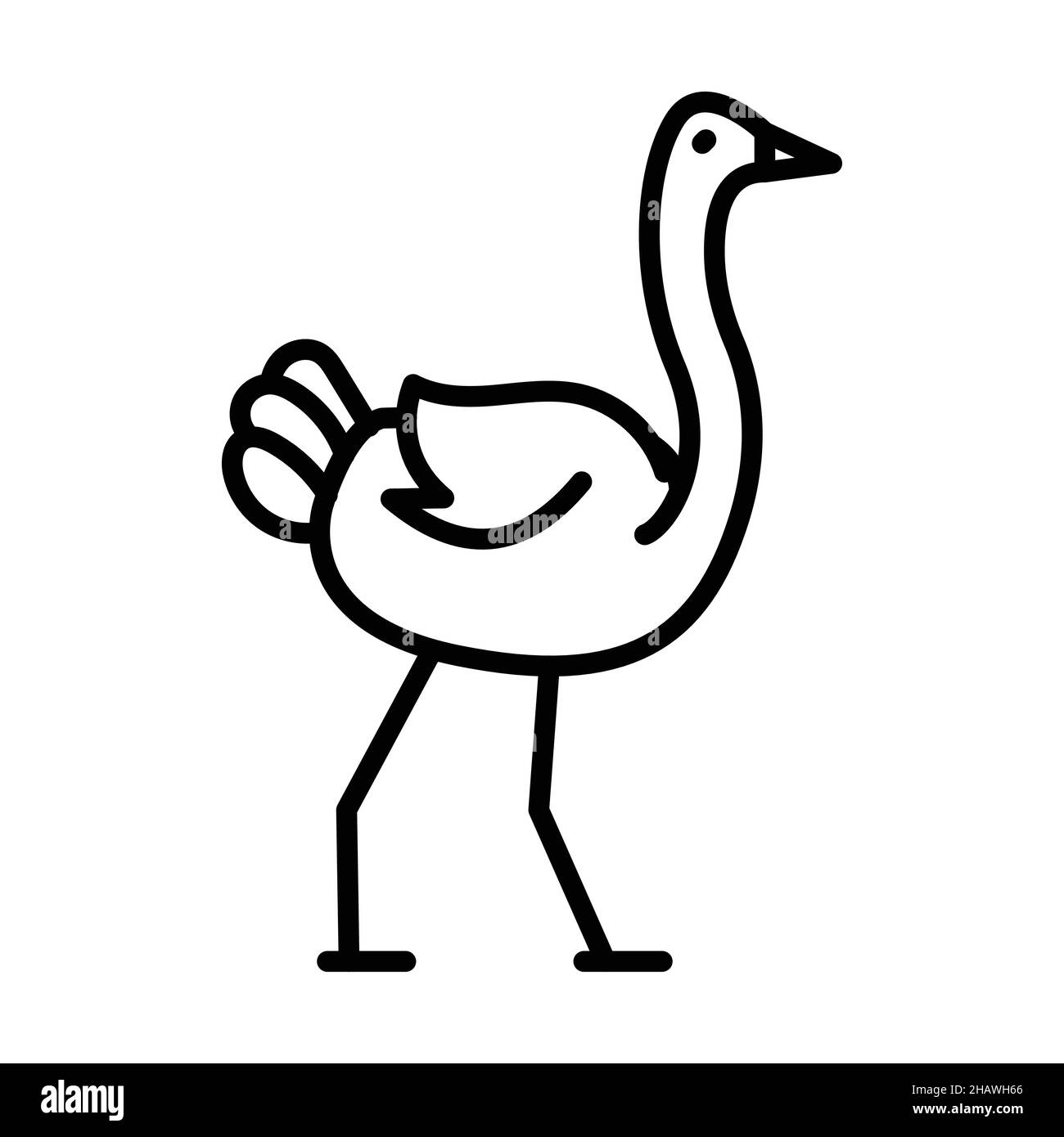 Ostrich bird line icon Stock Vector Images - Alamy