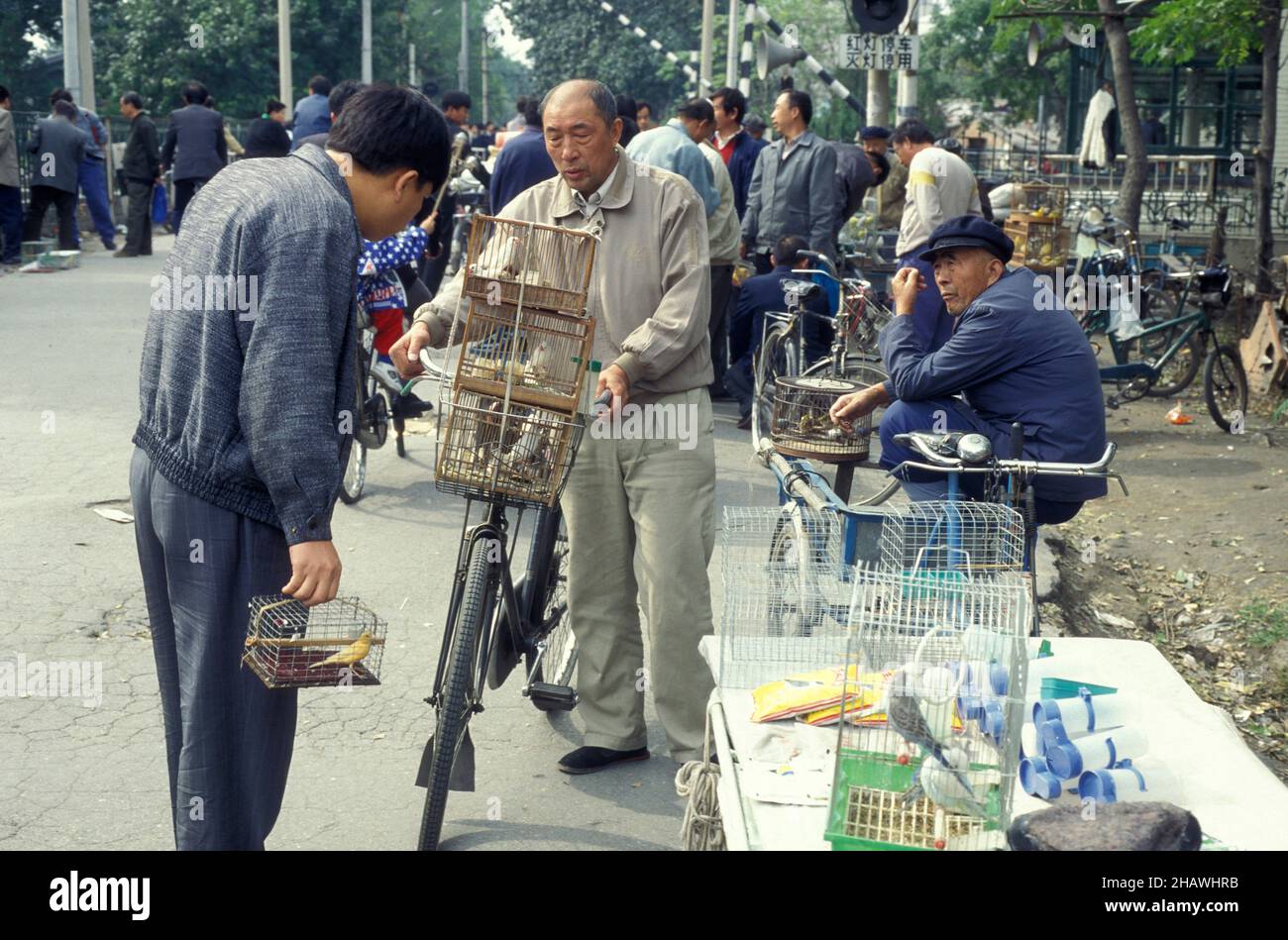 a chinese Bird market at a Animal market in the city center of Beijing ...
