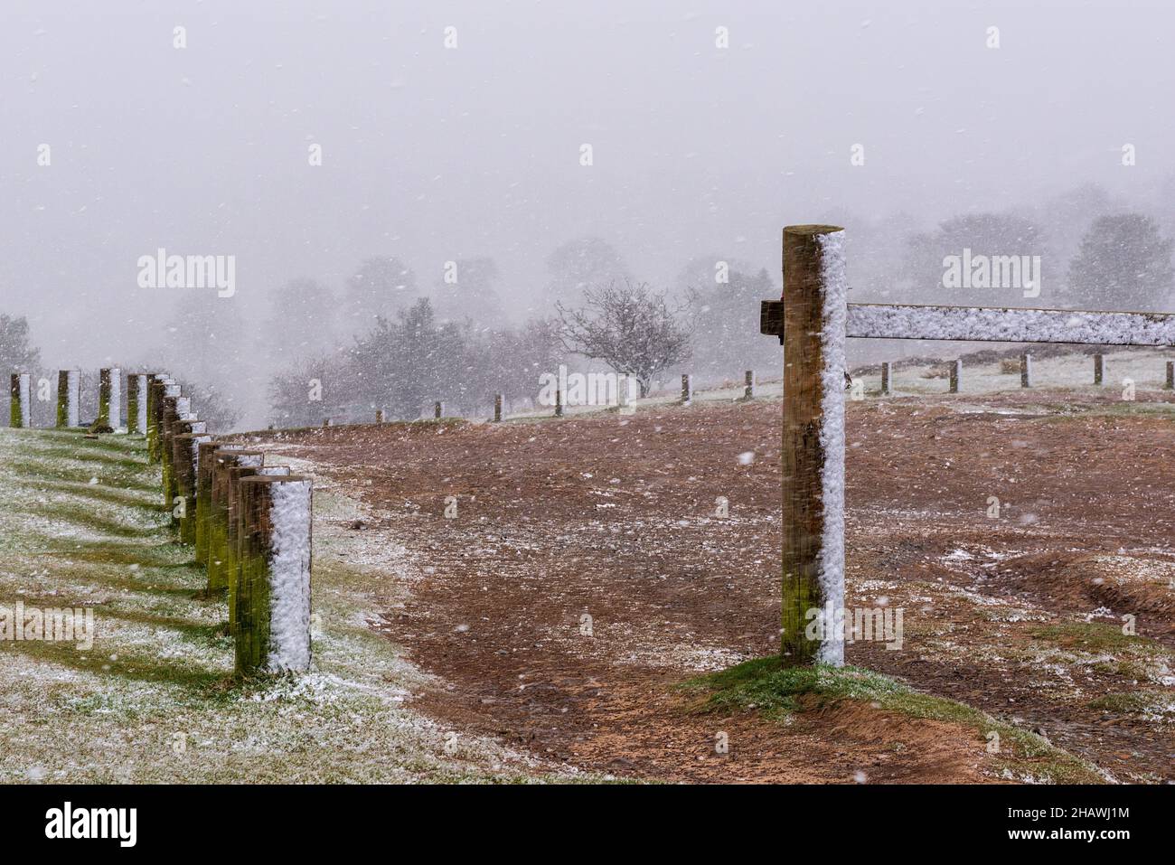 An unexpected heavy snow shower close to Crowcombe park Gate on the ...