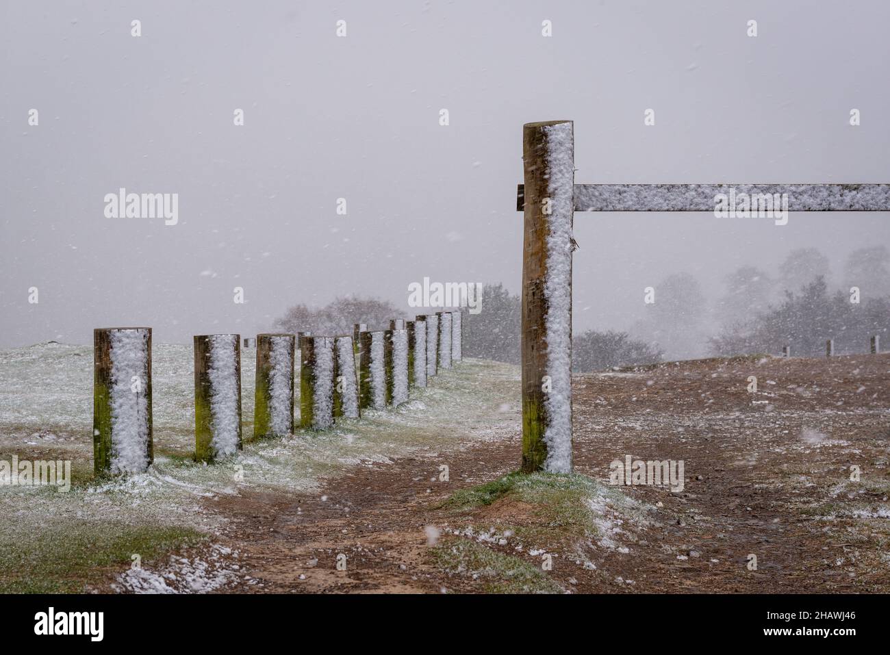 An unexpected heavy snow shower close to Crowcombe park Gate on the ...