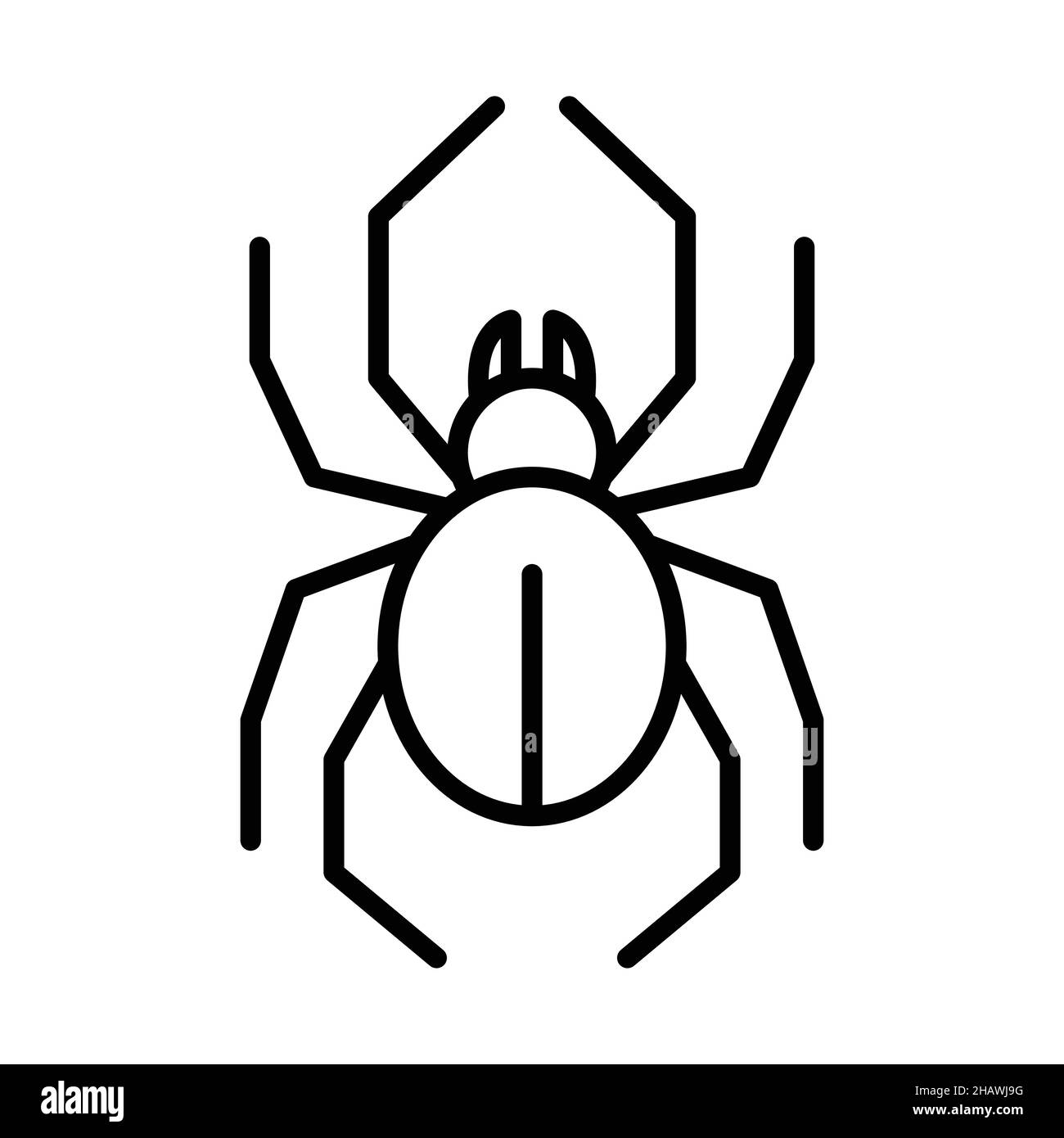Spider Outline Icon Animal Vector Stock Vector Image & Art - Alamy
