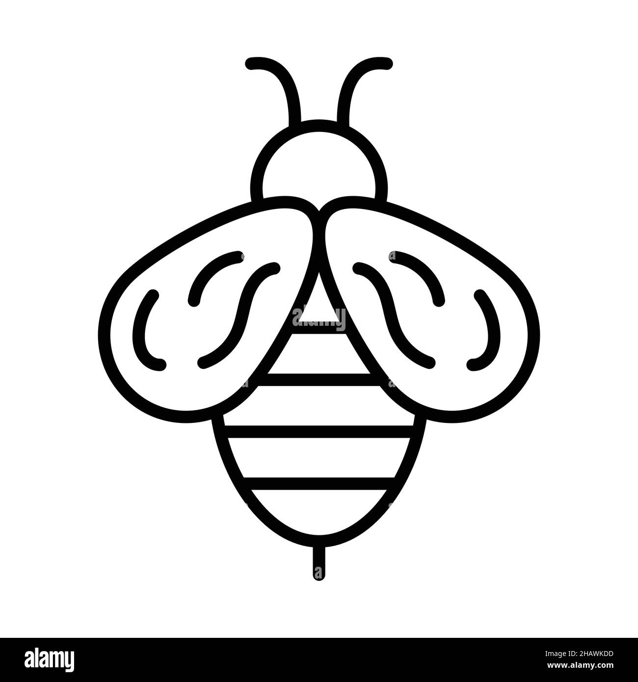 Bee Outline Icon Animal Vector Stock Vector Image & Art - Alamy
