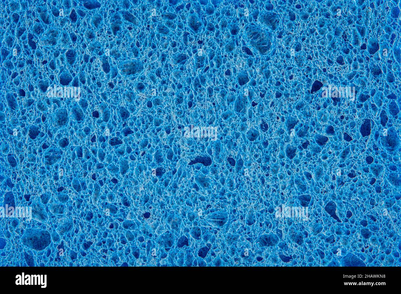 colorful blue foam rubber sponges isolated on a white background for ...