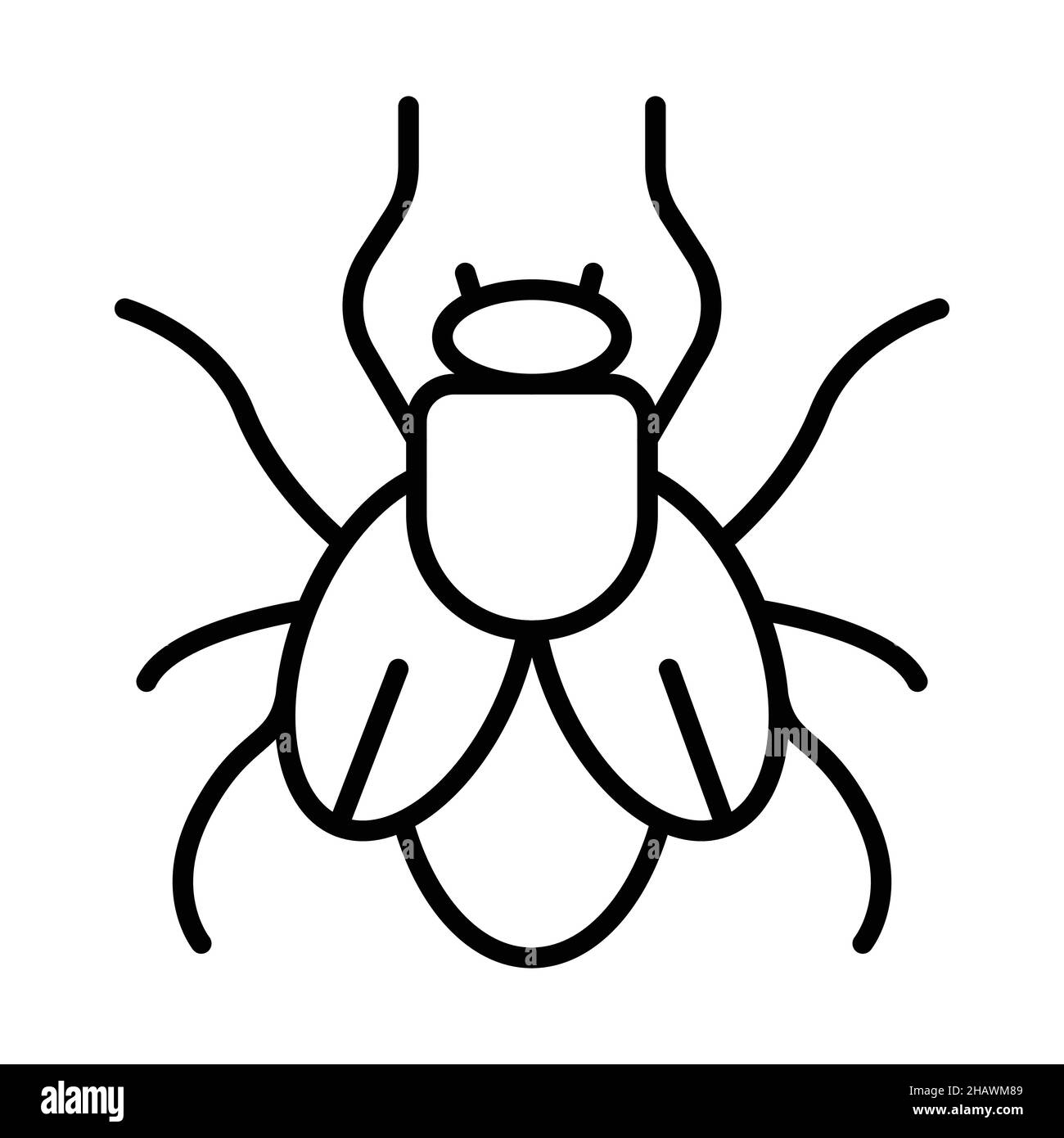 Fly Outline Icon Animal Vector Stock Vector Image & Art - Alamy