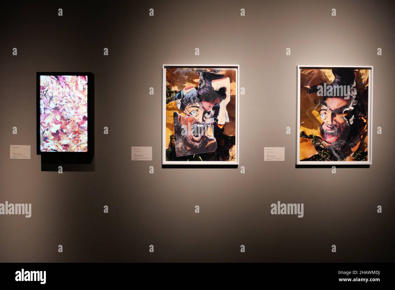 Sally oppenheim hi-res stock photography and images - Alamy