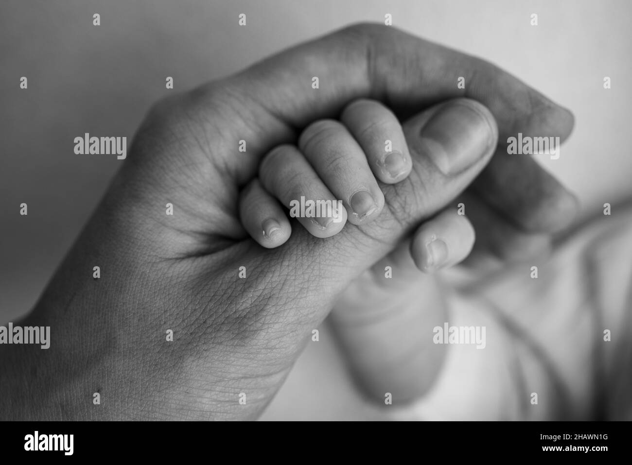 The newborn baby has a firm grip on the parent's finger after birth ...