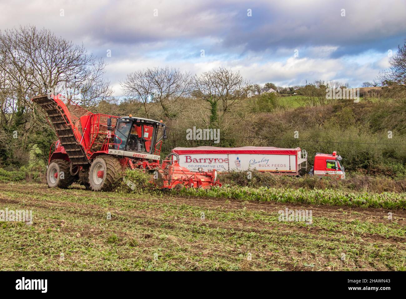 Vervaet 6 Row Beet Harvester Stock Photo - Alamy