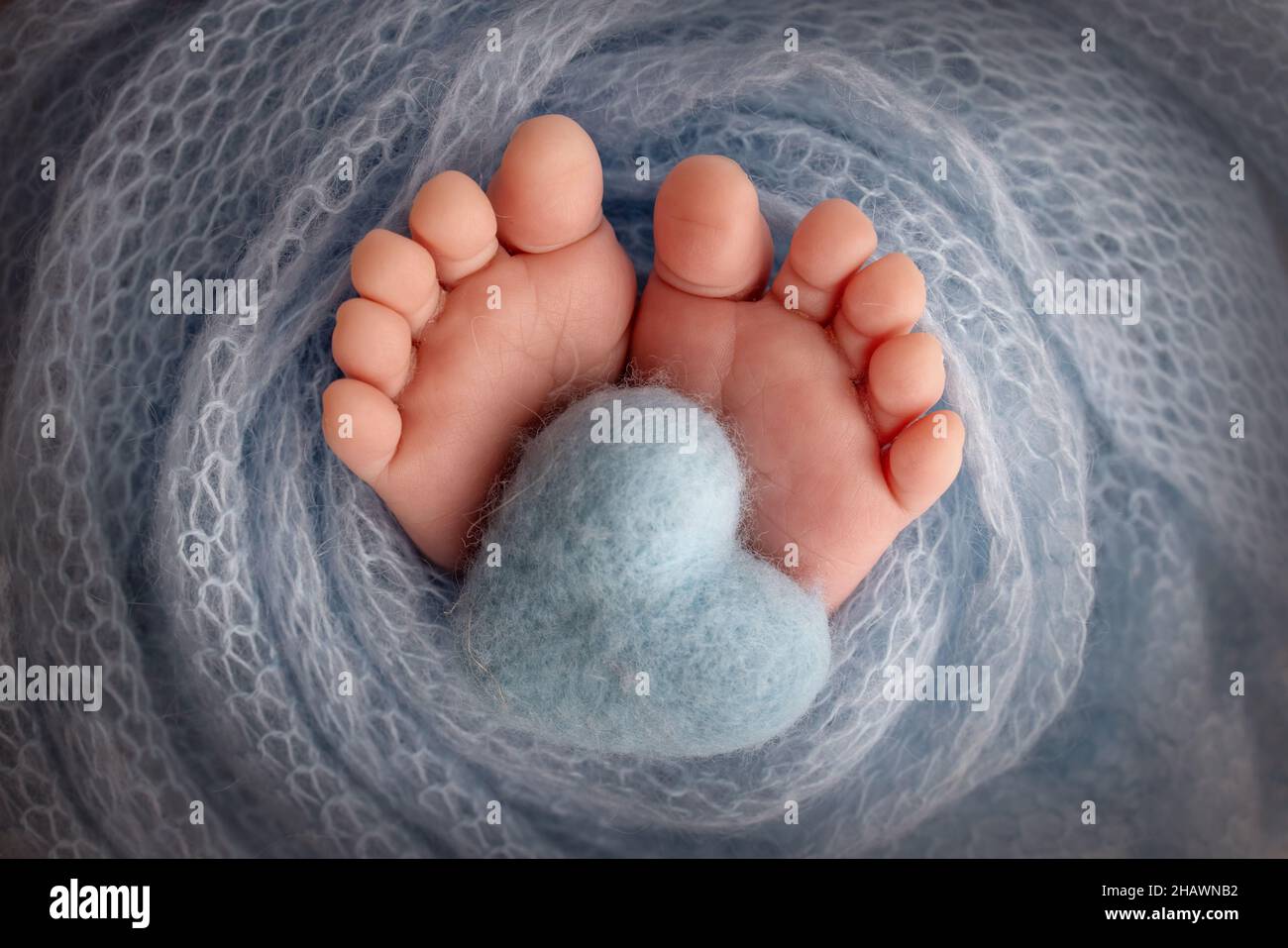 The tiny foot of a newborn baby Soft feet of a new born in a blue ...