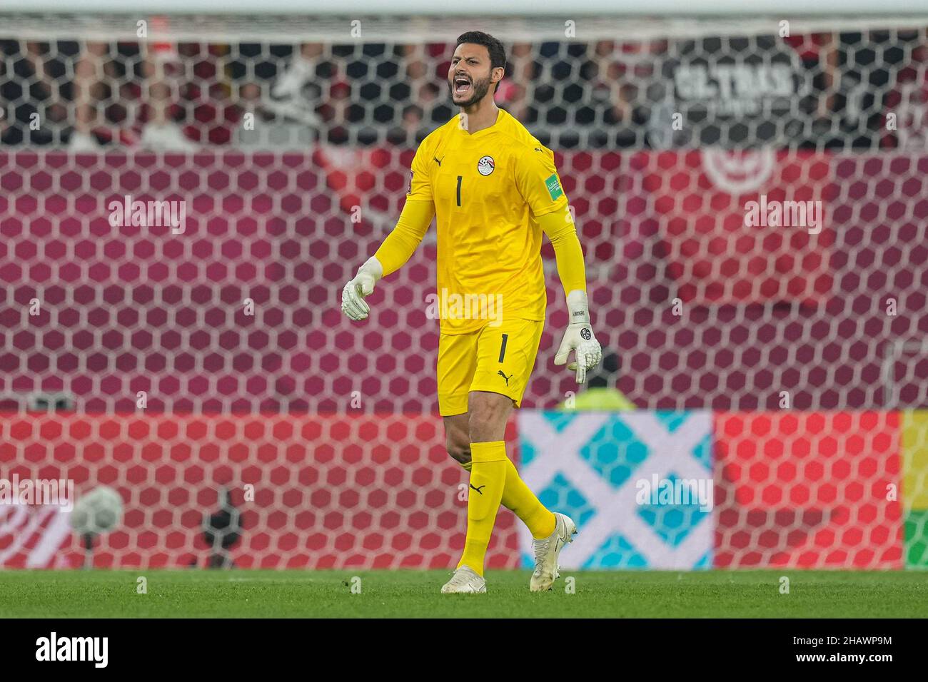 Mohammed el shenawy hi-res stock photography and images - Alamy