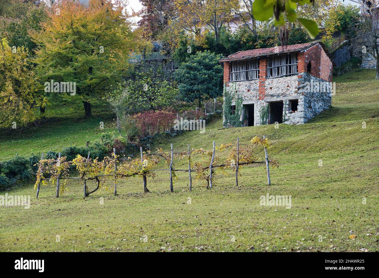 Building and trees Orta San Giulio town in the Province of Novara in ...
