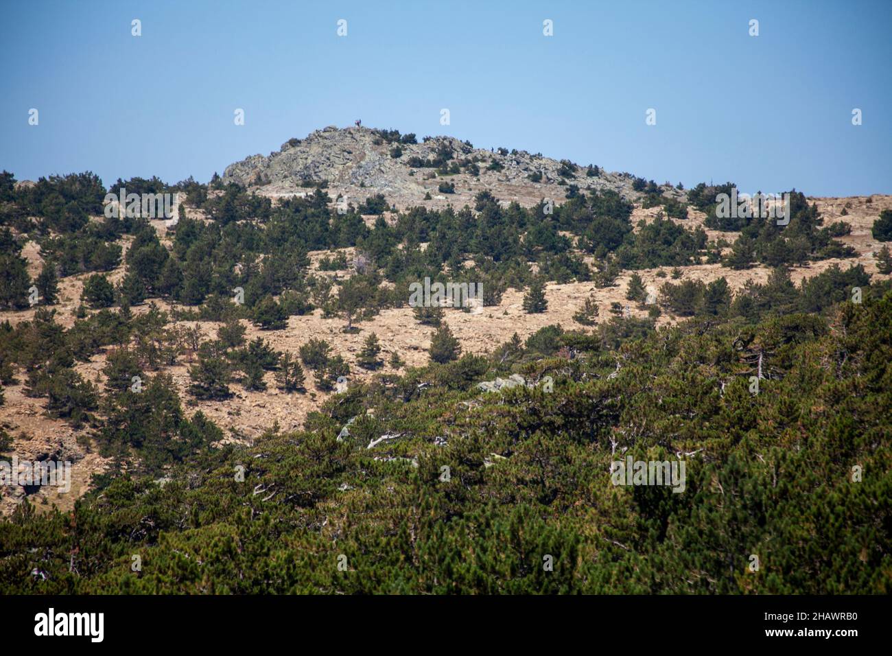 Ida Mountain-Kaz Daglari in Turkey. (in Turkish: Kazdagi, meaning Goose ...