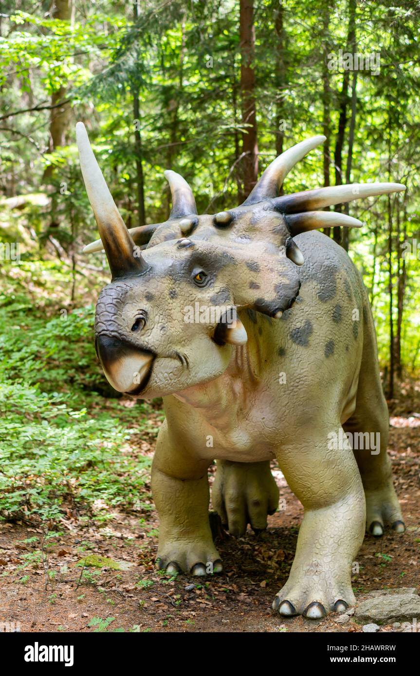 Styracosaurus front hi-res stock photography and images - Alamy