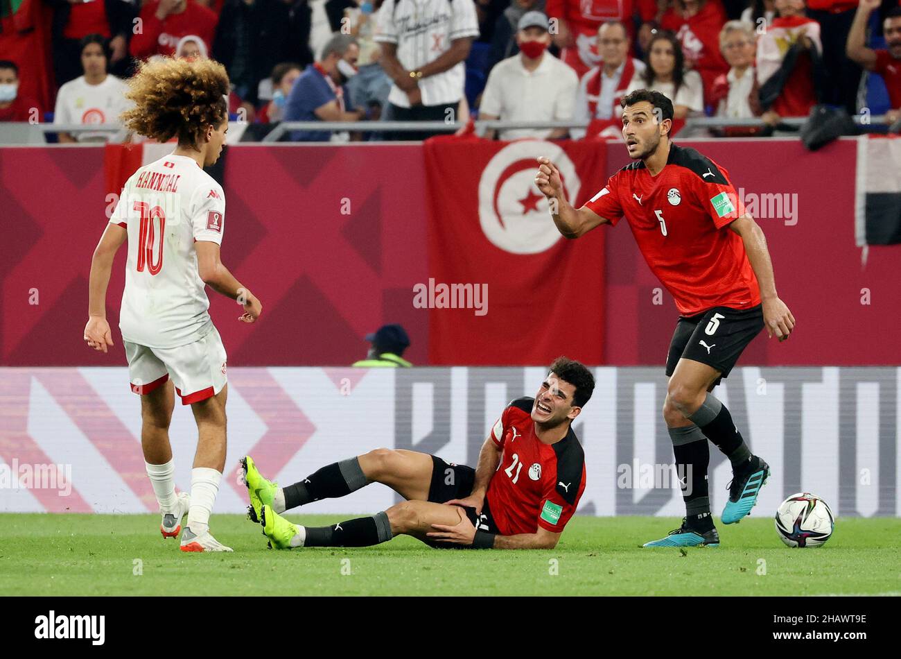 Hamdy fathy hi-res stock photography and images - Alamy