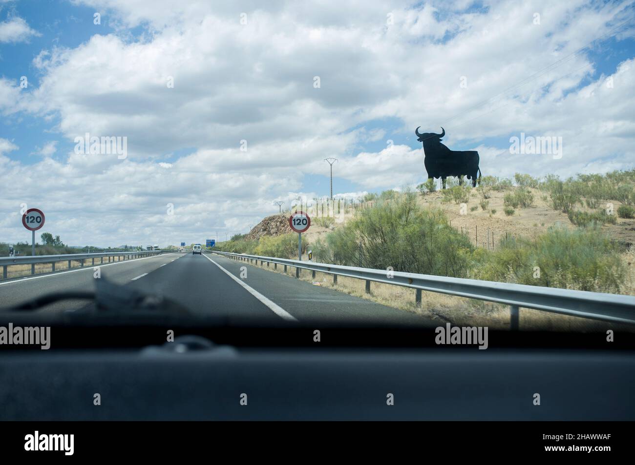 The Osborne bull from the interior a car. This bull is regarded as the ...