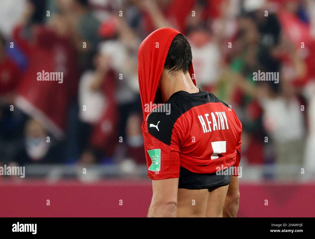 Hamdy fathy hi-res stock photography and images - Alamy