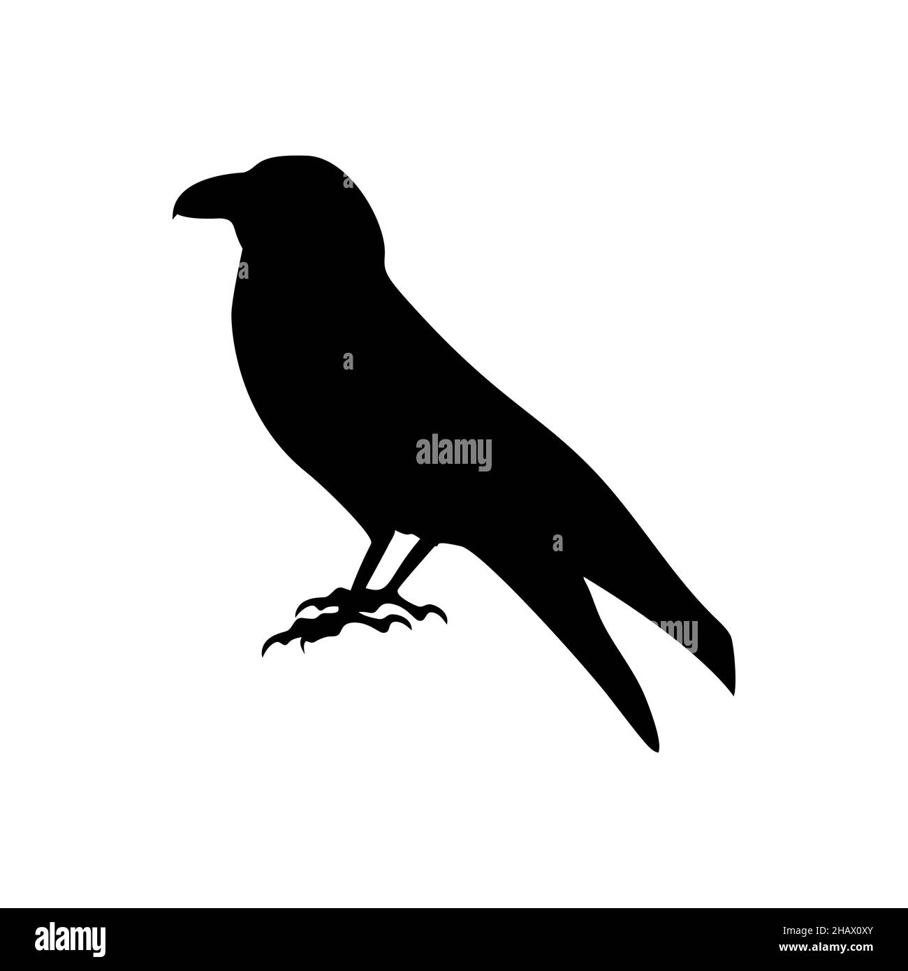 Black silhouette of black crow isolated on white Stock Vector Image ...