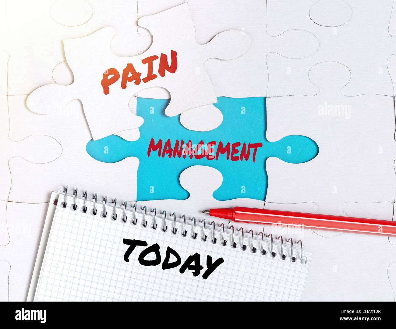 Text caption presenting Pain Management. Word Written on a branch of ...
