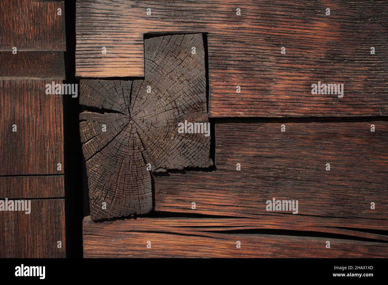 Closeup detail view of wood texture background surface. Wooden pattern ...