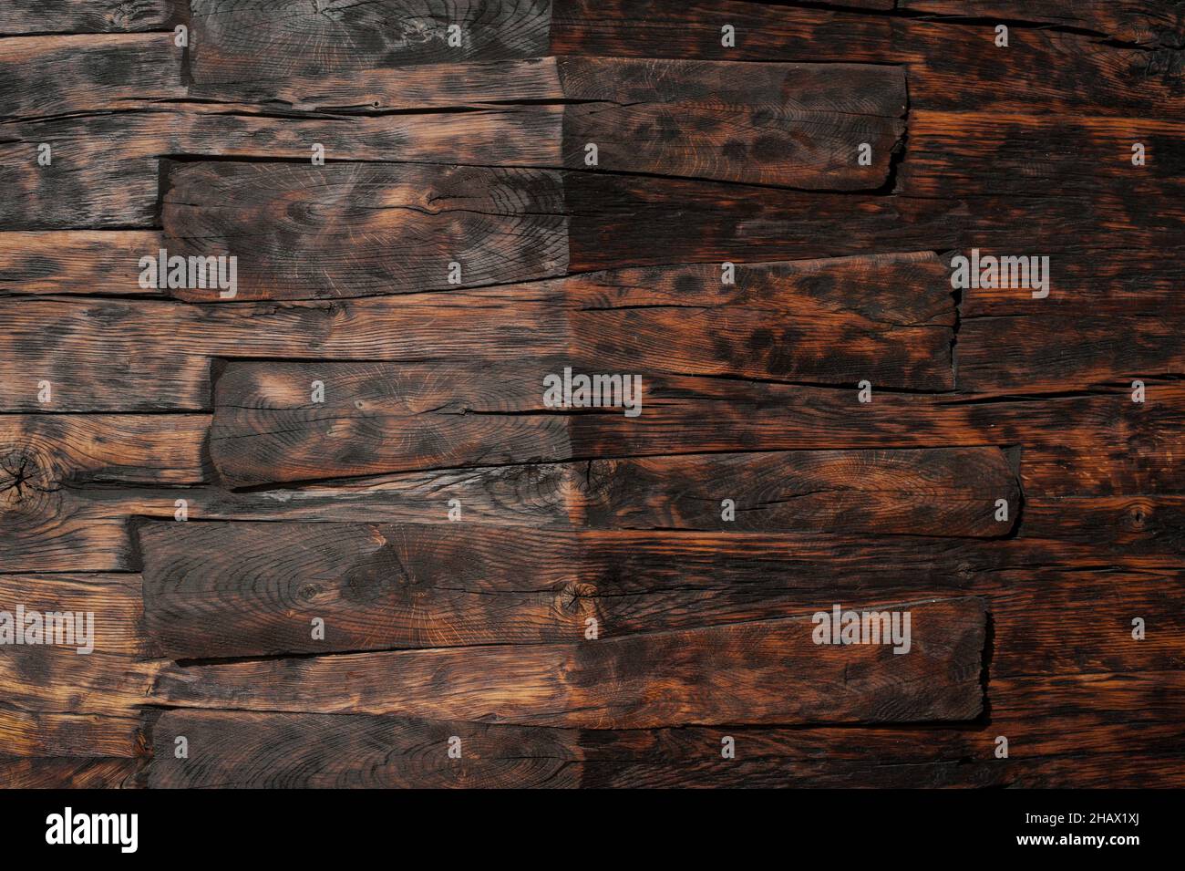 Closeup detail view of wood texture background surface. Wooden pattern ...