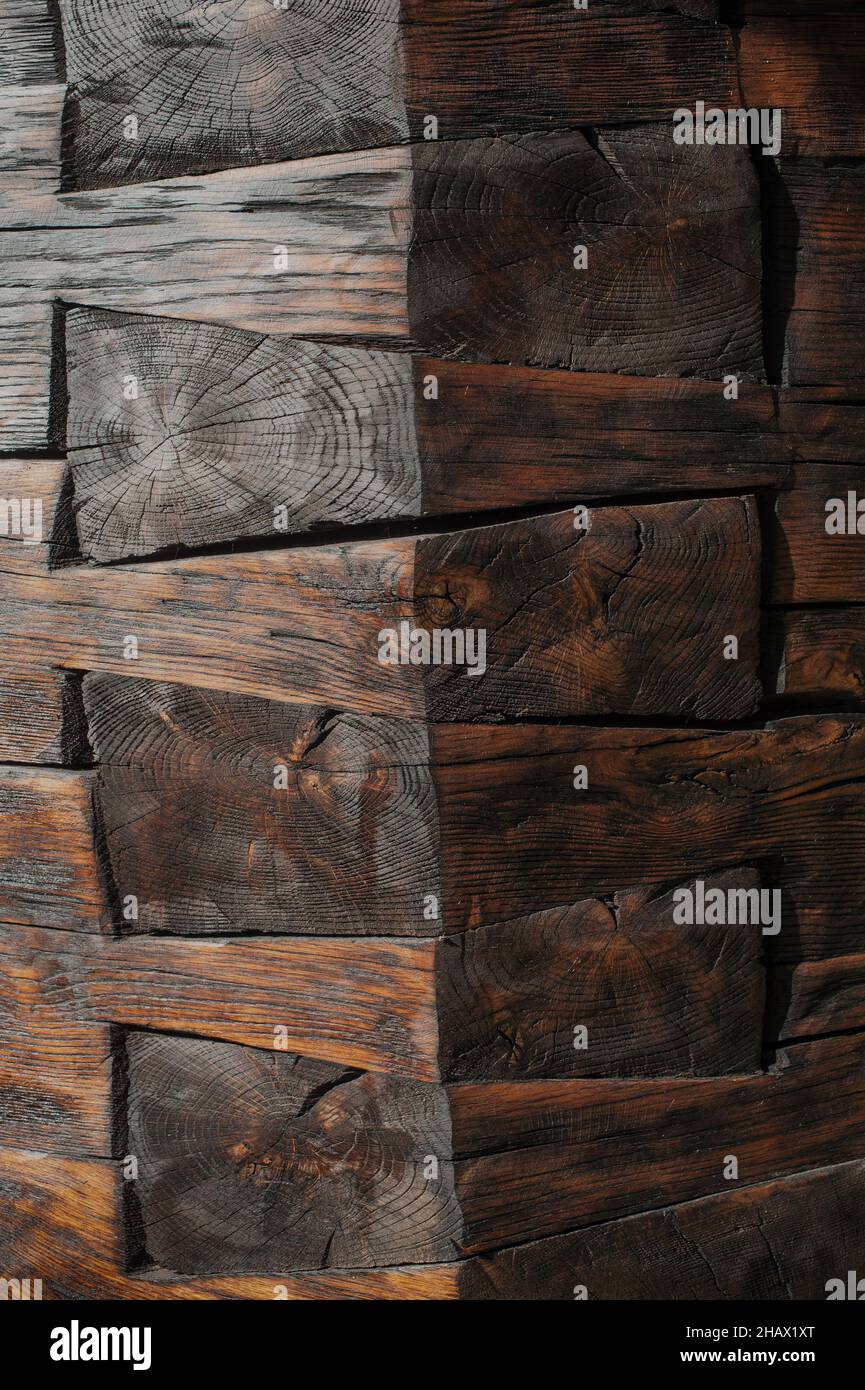Closeup detail view of wood texture background surface. Wooden pattern ...
