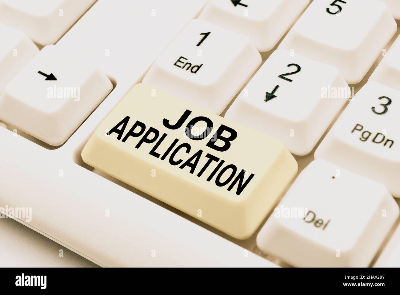 Inspiration showing sign Job Application. Internet Concept The standard ...