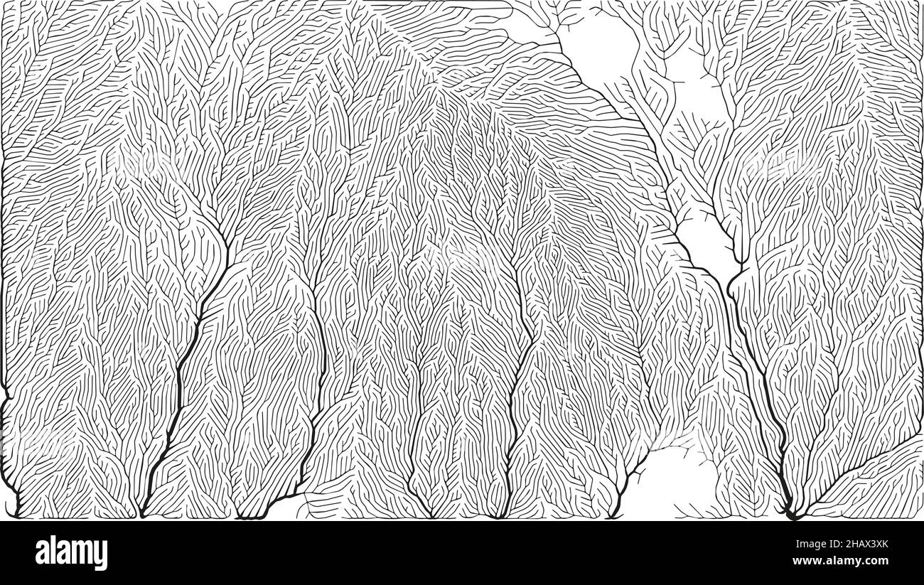 Growth pattern. Generative branching structure. Organic net of vessels ...