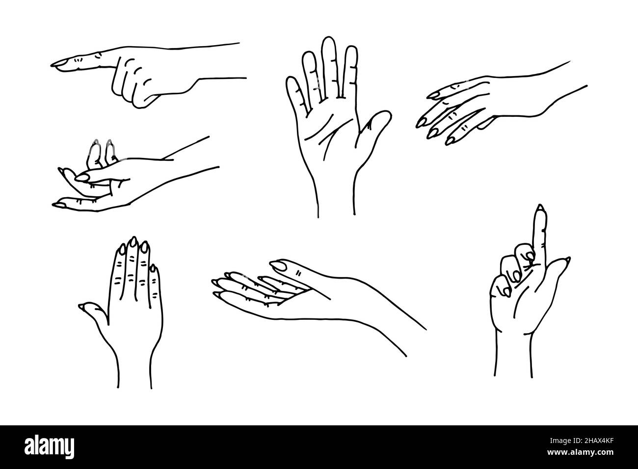 Female hand drawing set. Doodle line art vector eps illustration in ...