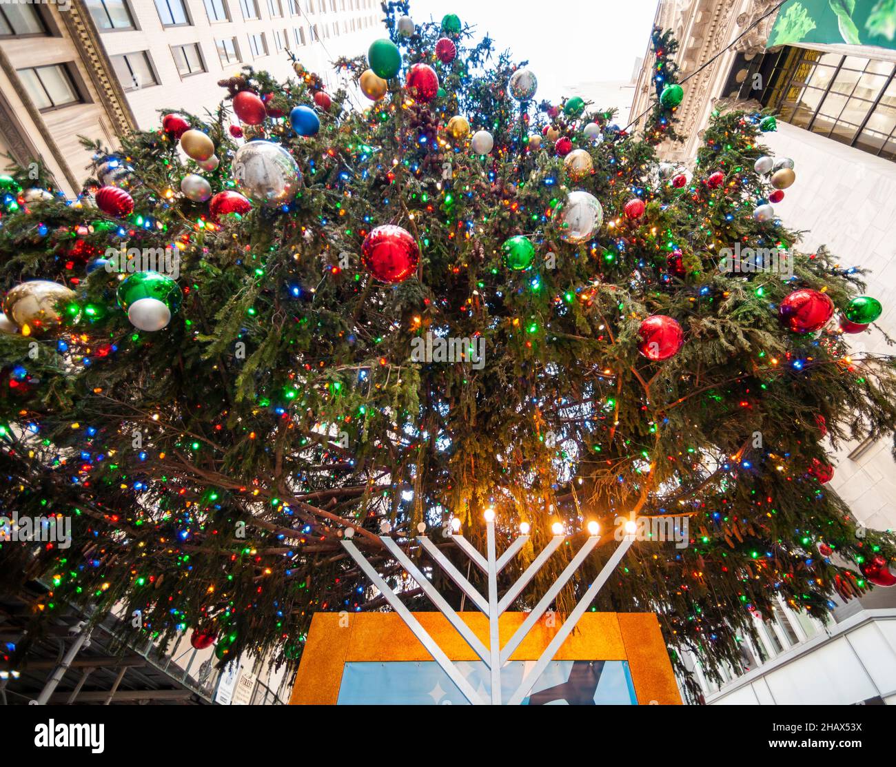 Menorah and christmas tree hi-res stock photography and images - Alamy