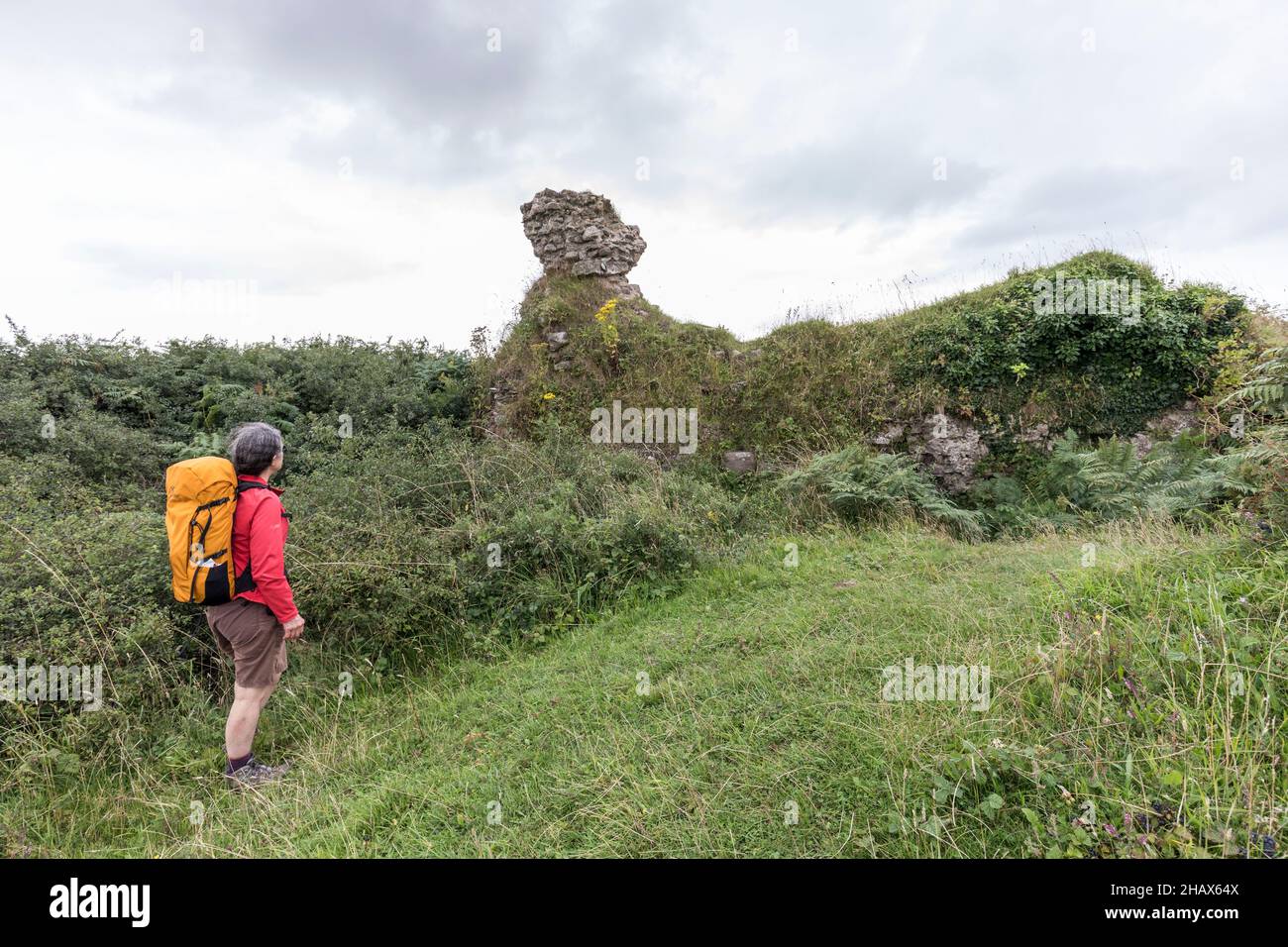 Walker at the overgrown remains of the partly buried Norman castle at ...