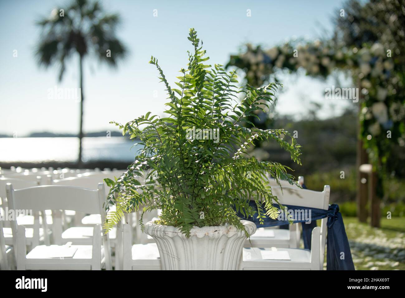 Blue chair ribbons hi-res stock photography and images - Alamy