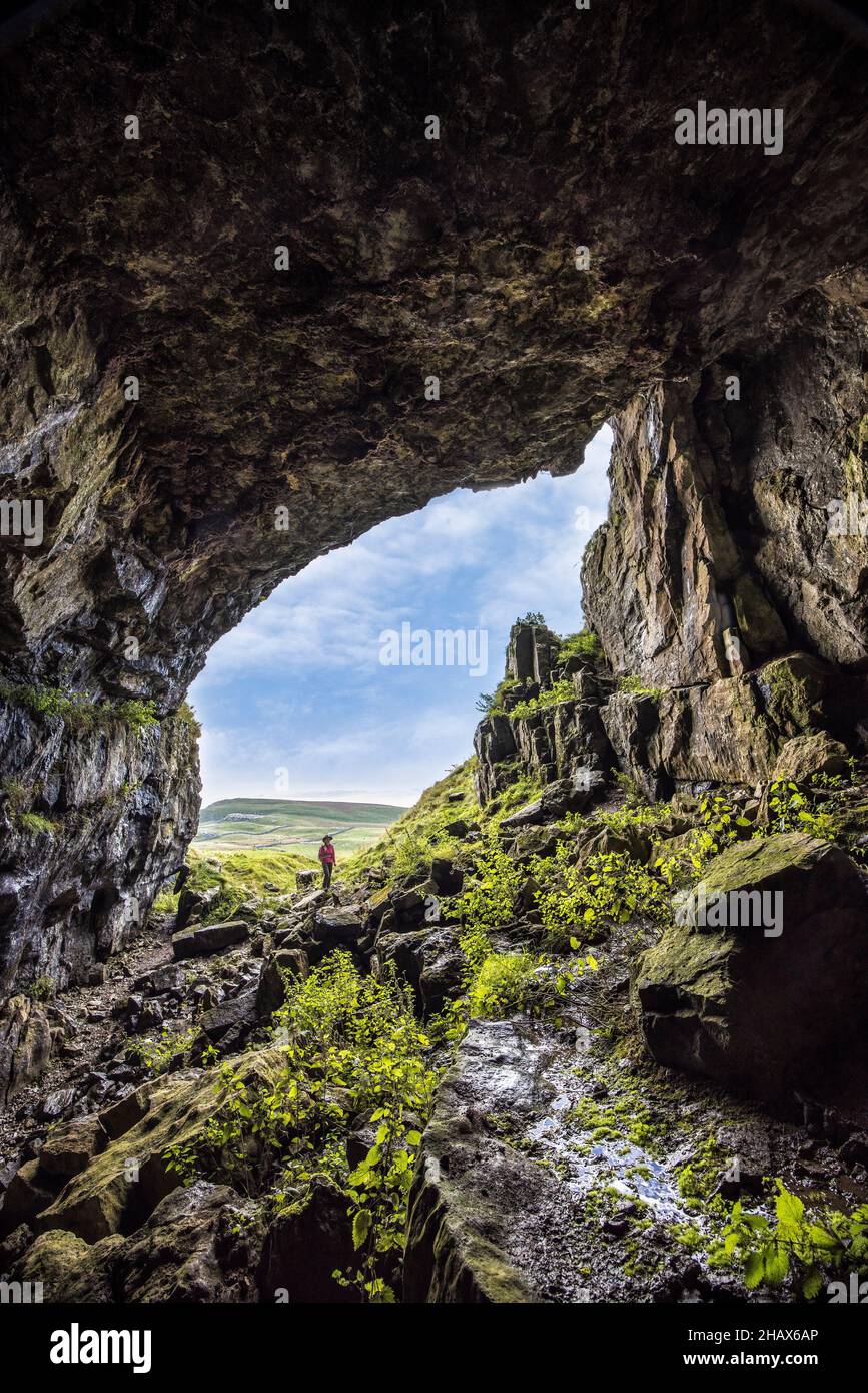 Victoria Cave entrance, Yorkshire Dales, England, UK Stock Photo - Alamy