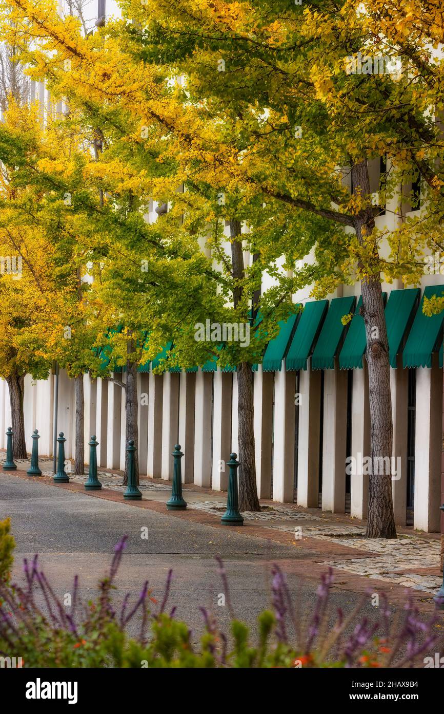 Autumn colors line the edge of a parking lot and building with green ...