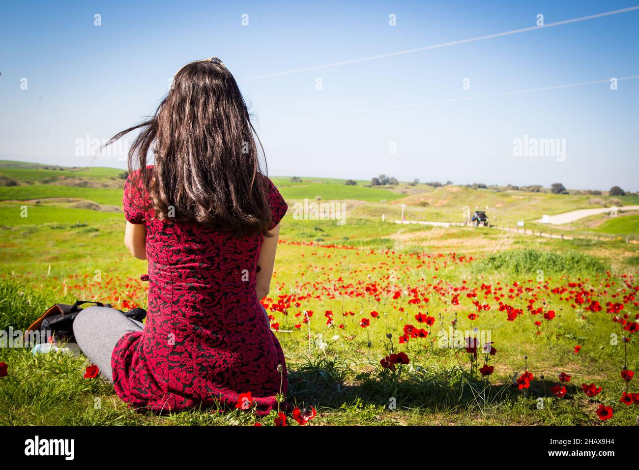 Young brunette woman sitting on a poppy field under the sunlight in the ...