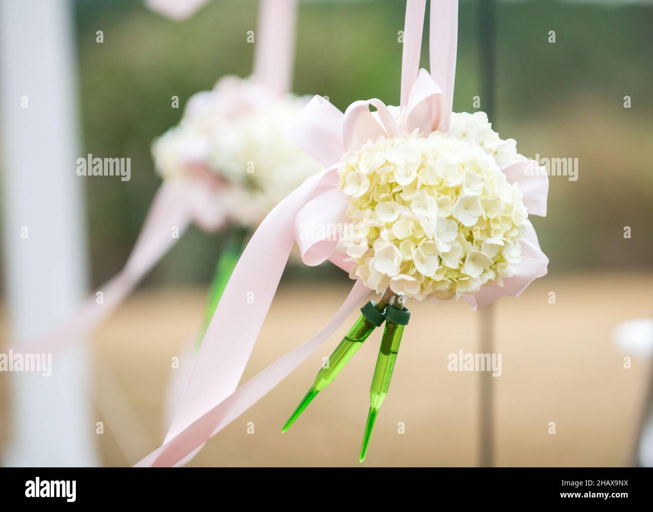 White peony flowers with pink bows and ribbons wedding decorations in ...