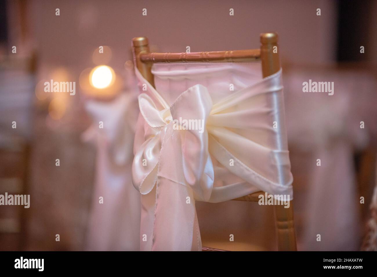 Gold chiavari chairs with pink bows and ribbons at country club wedding ...