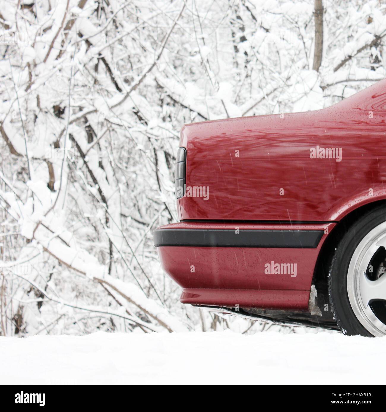 Part of a red car on the background of a winter forest Stock Photo - Alamy