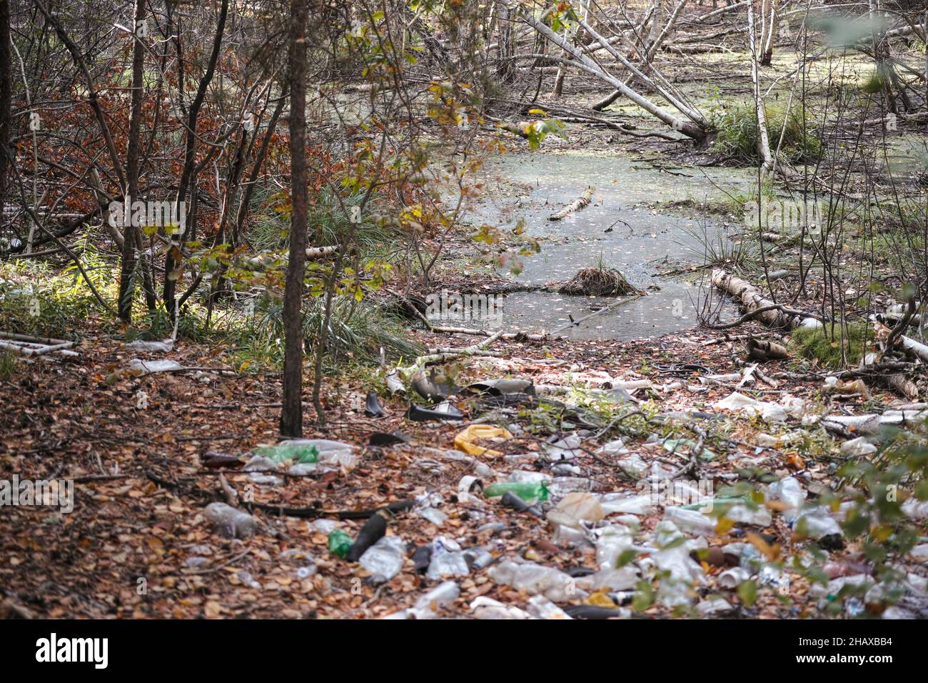 Plastic pollution forest hi-res stock photography and images - Alamy