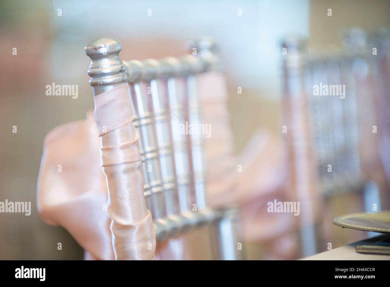 Gold chiavari chairs with pink bows and ribbons at country club wedding ...