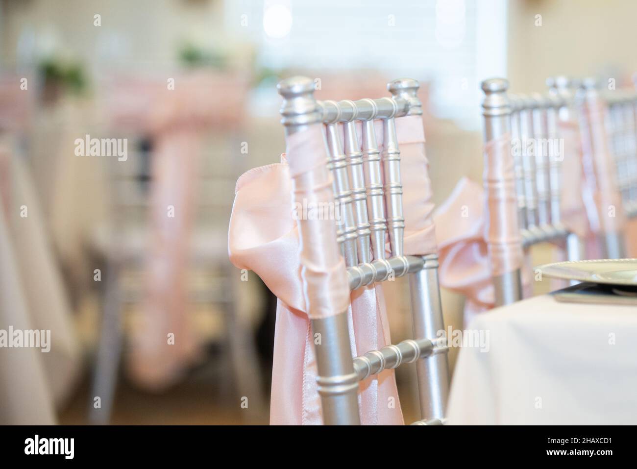 Gold chiavari chairs with pink bows and ribbons at country club wedding ...