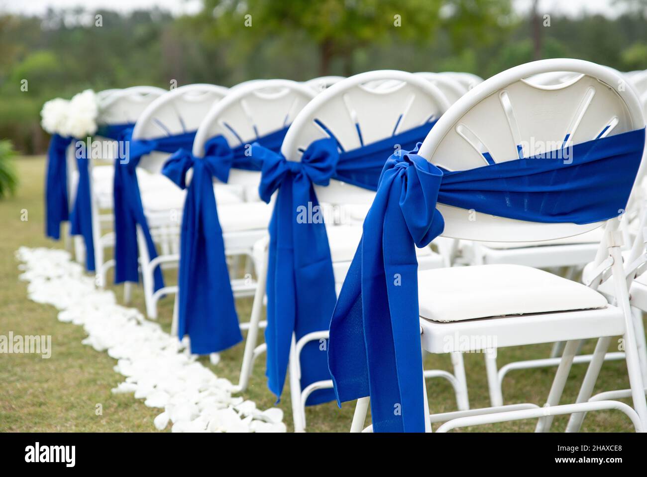 Blue chair ribbons hi-res stock photography and images - Alamy