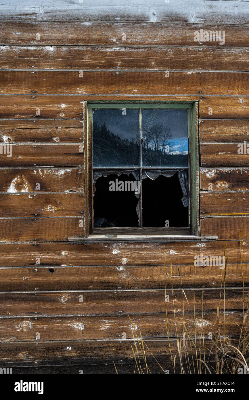 Old Broken Shed Window, WA Stock Photo - Alamy