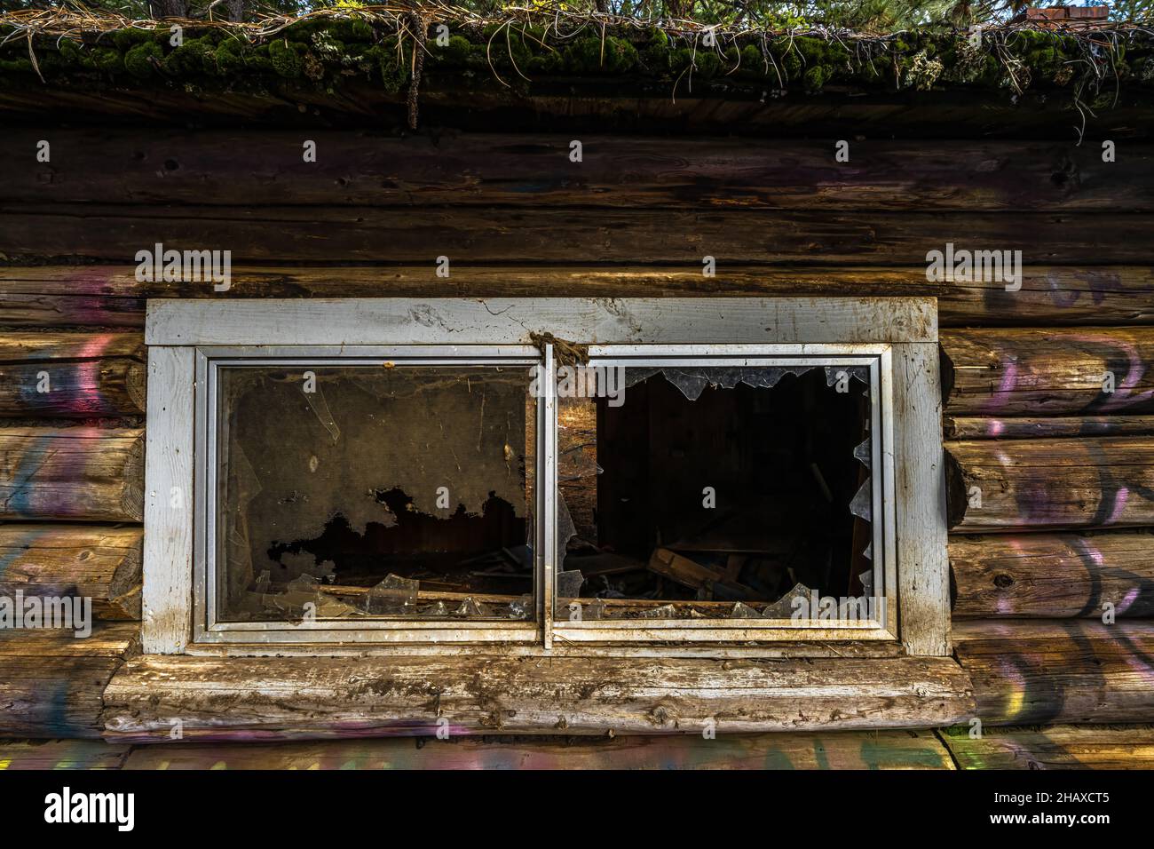 Creepy old shed hi-res stock photography and images - Alamy