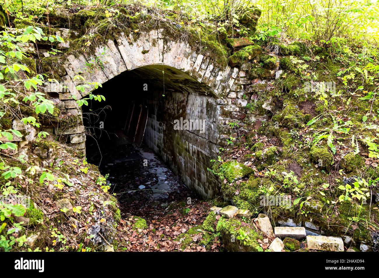Family crypt, underground vault at the small church cemetery in ...